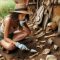 Anthropology vs. Sociology: Key Differences